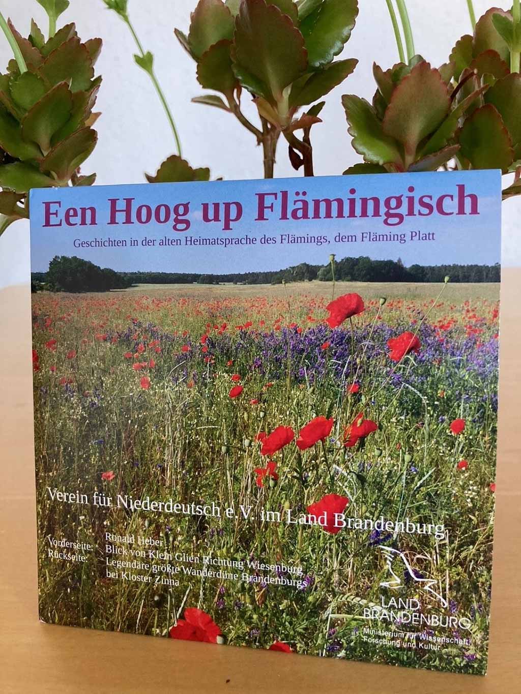 Bad Belzig: Rettet das Flämingplatt! – Einladung zur öffentlichen ...